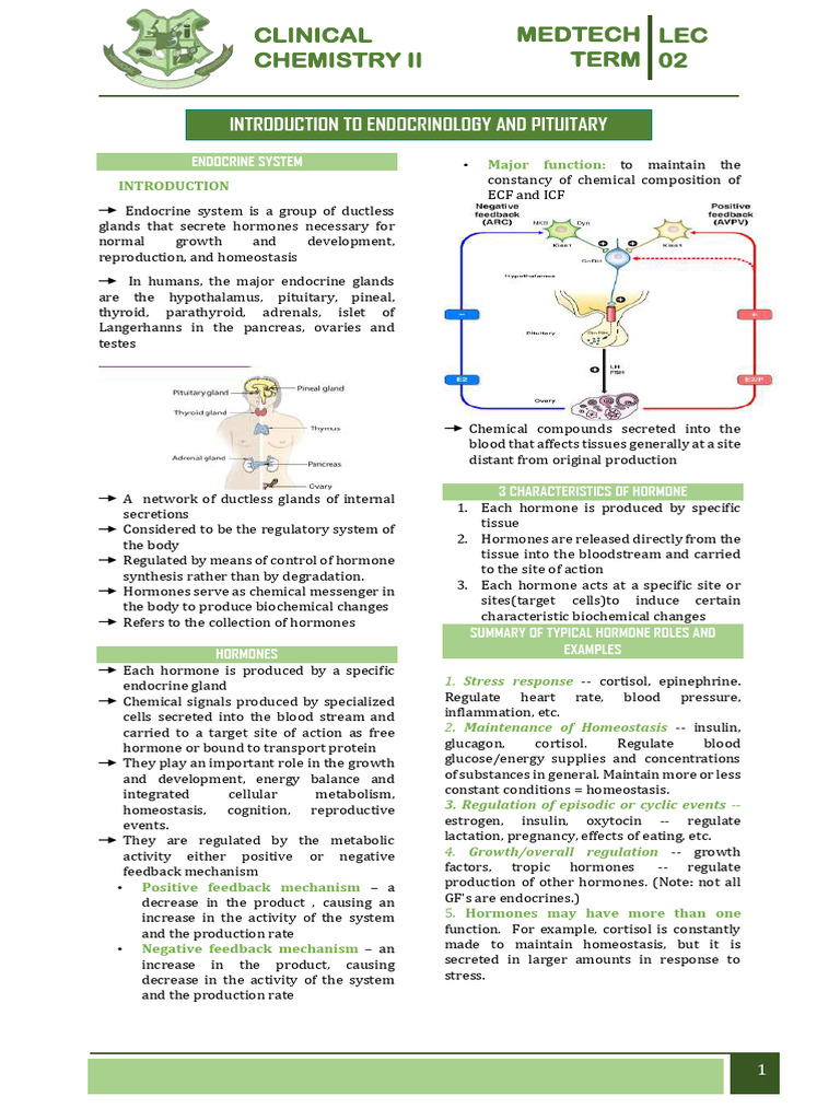 Endocrine System and Hormone Functions | PDF | Endocrine System | Hormone
