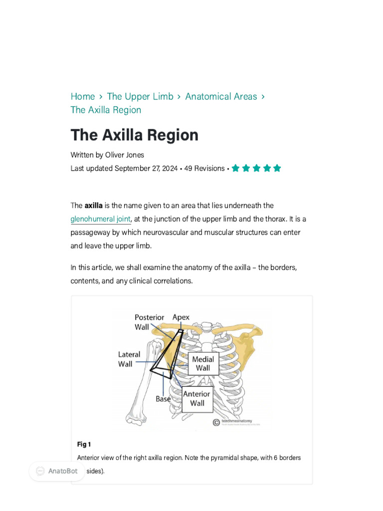 The Axilla Region - Borders - Contents - TeachMeAnatomy | PDF | Arm ...