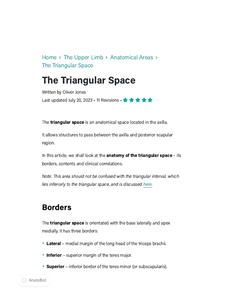 Triangular Space - Borders - Contents - TeachMeAnatomy | PDF