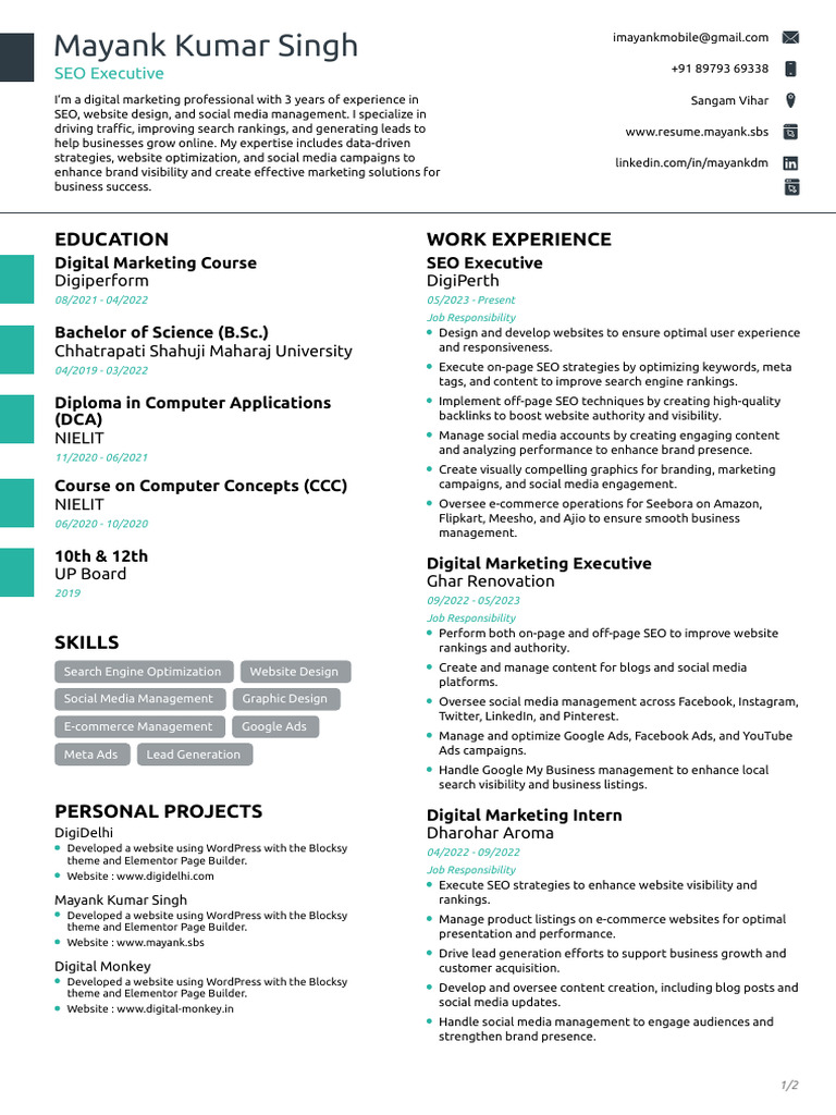 Mayank Kumar Singh Resume For SEO Executive | PDF | Search Engine Optimization | Digital Marketing
