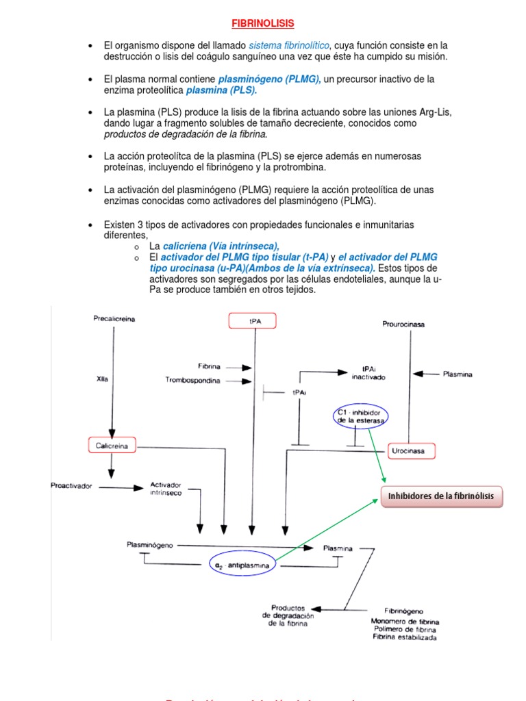 FIBRINOLISIS | PDF | Coagulación | Biología Celular