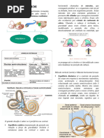 HINTS para Diagnóstico de Vertigem | PDF | Vertigem | Sistema vestibular