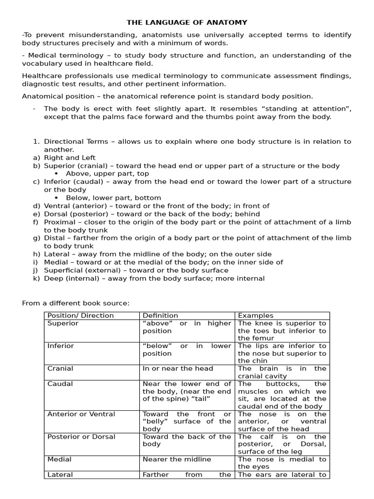 Anatomy Terminology and Body Structure | PDF | Anatomical Terms Of ...