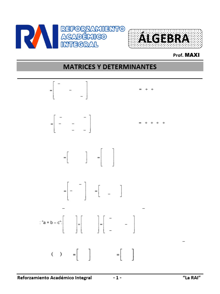 ORD-matrices X MAXI | PDF | Matriz (Matemáticas) | Determinante