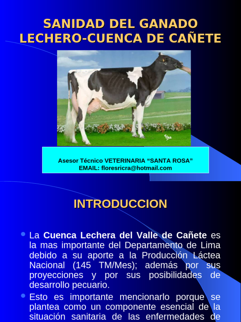 Enfermedades del Ganado Lechero en Cañete | PDF | Infección | Vacas