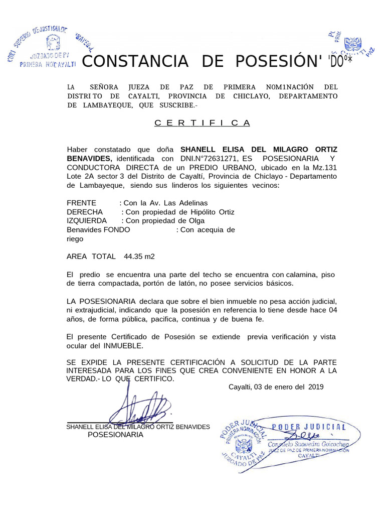 Constancia de Posesion | PDF