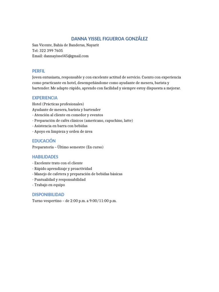CV Danna Yissel Figueroa Gonzalez | PDF