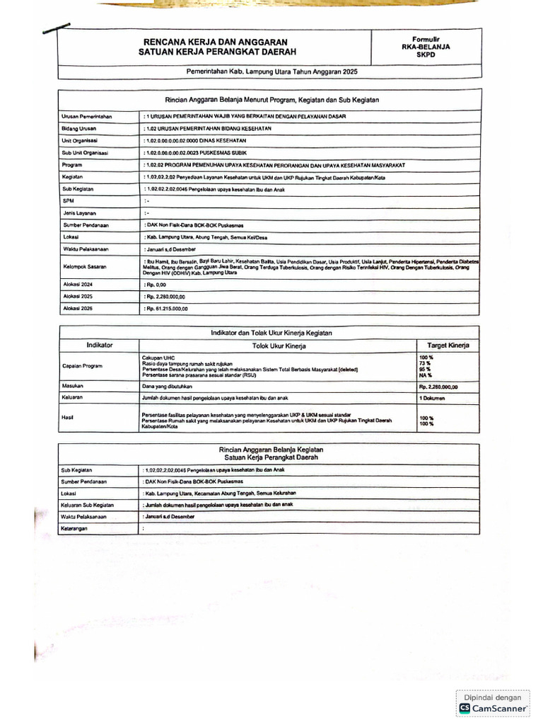 RKA 2025 SUB Ibu Dan Anak | PDF