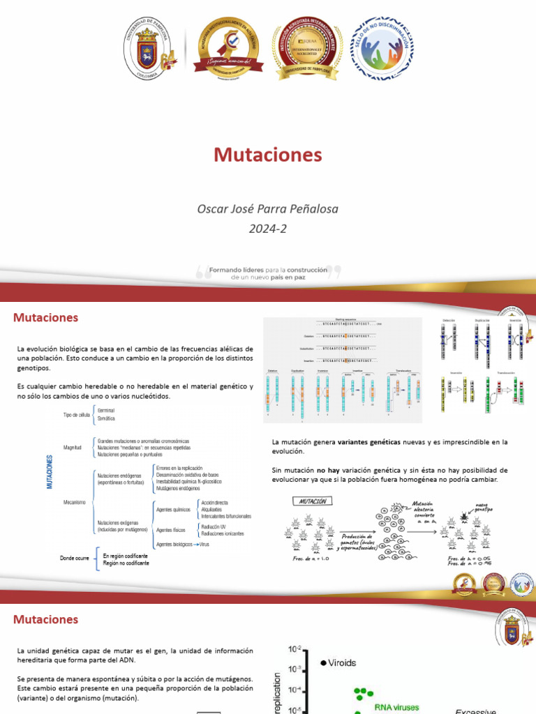 6. Mutaciones | PDF | Mutación | Evolución