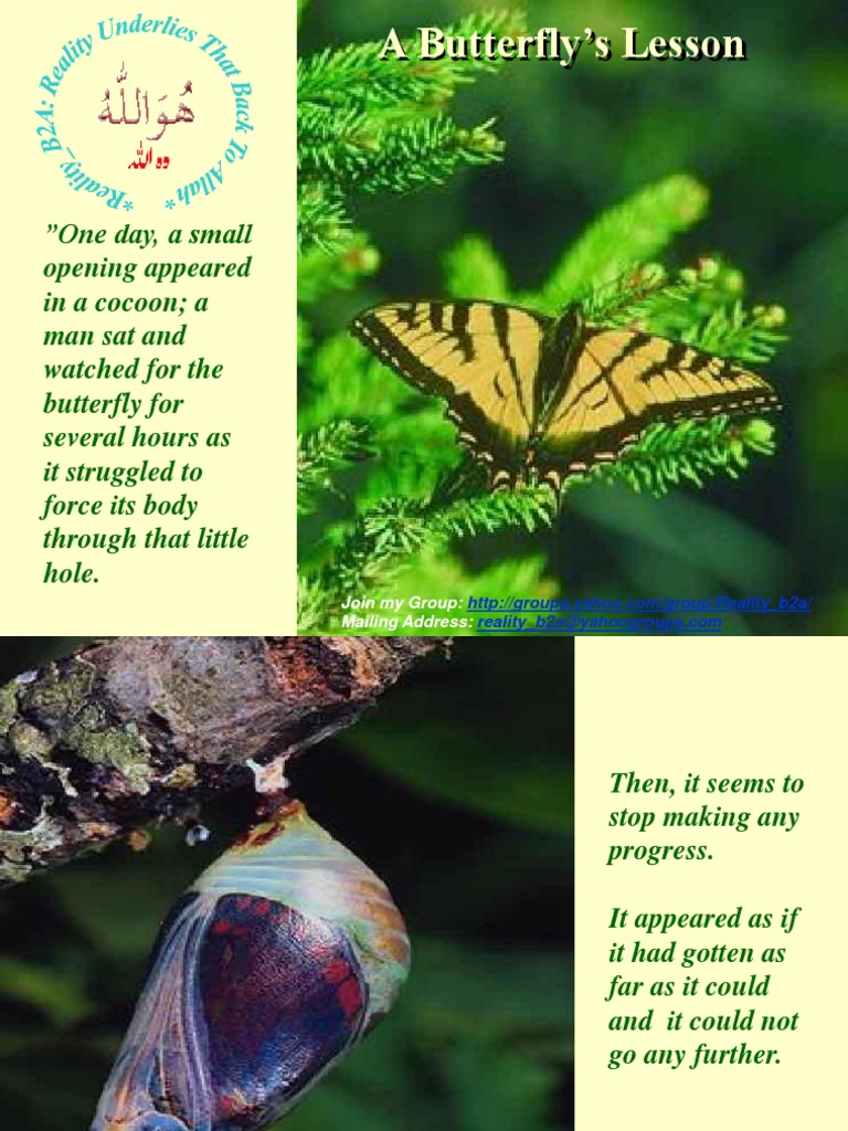 Lesson of Life | PDF | Career & Growth | Religion & Spirituality
