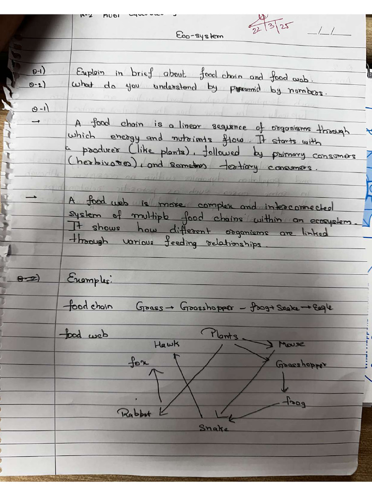 K061 Ecosystem | PDF