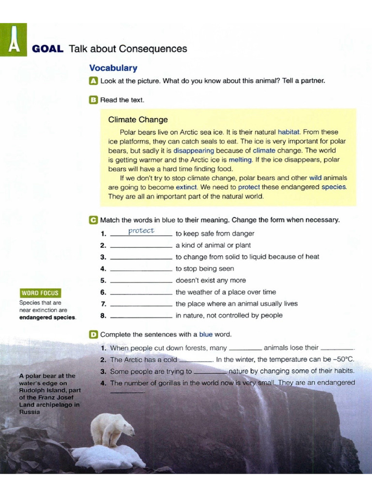 Worksheet First Conditional | PDF