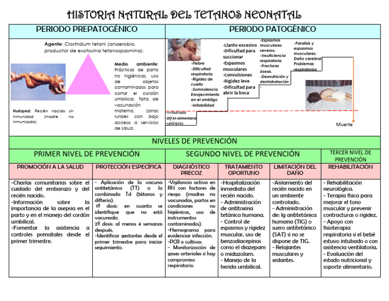 HNE-Tetanos Neonatal | PDF | Especialidades Medicas | Medicina CLINICA