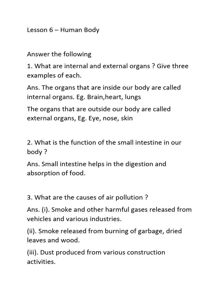 Std3 Human Body Notes | PDF