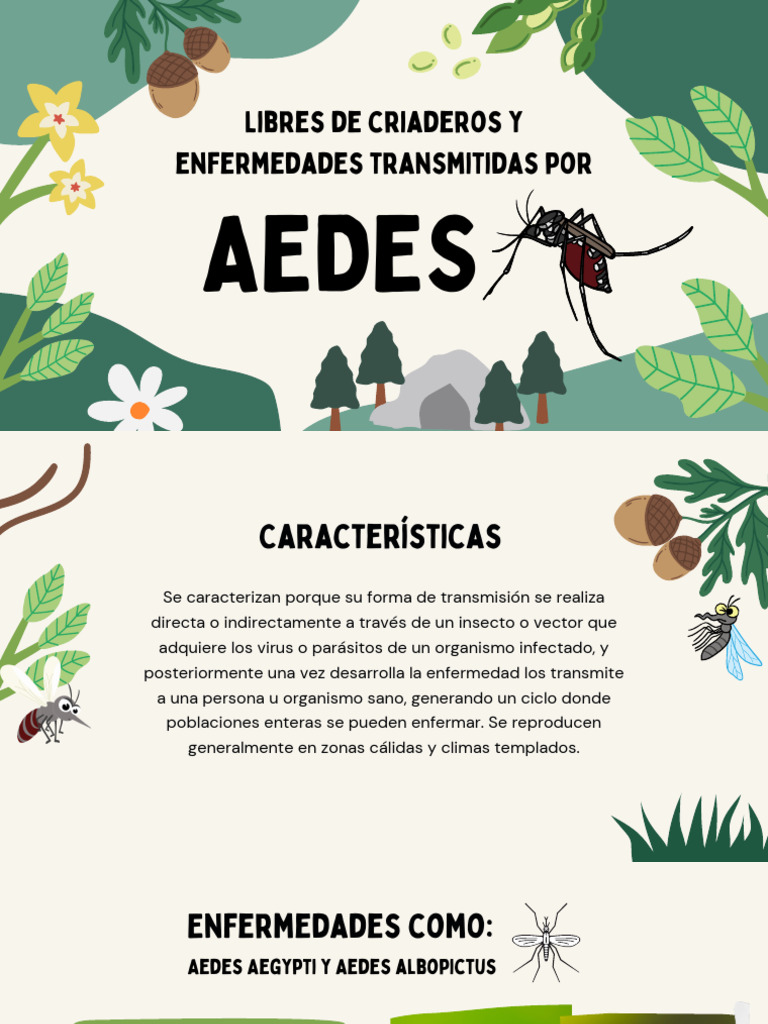 Aedes PDF | PDF | Medicina | Enfermedades y trastornos