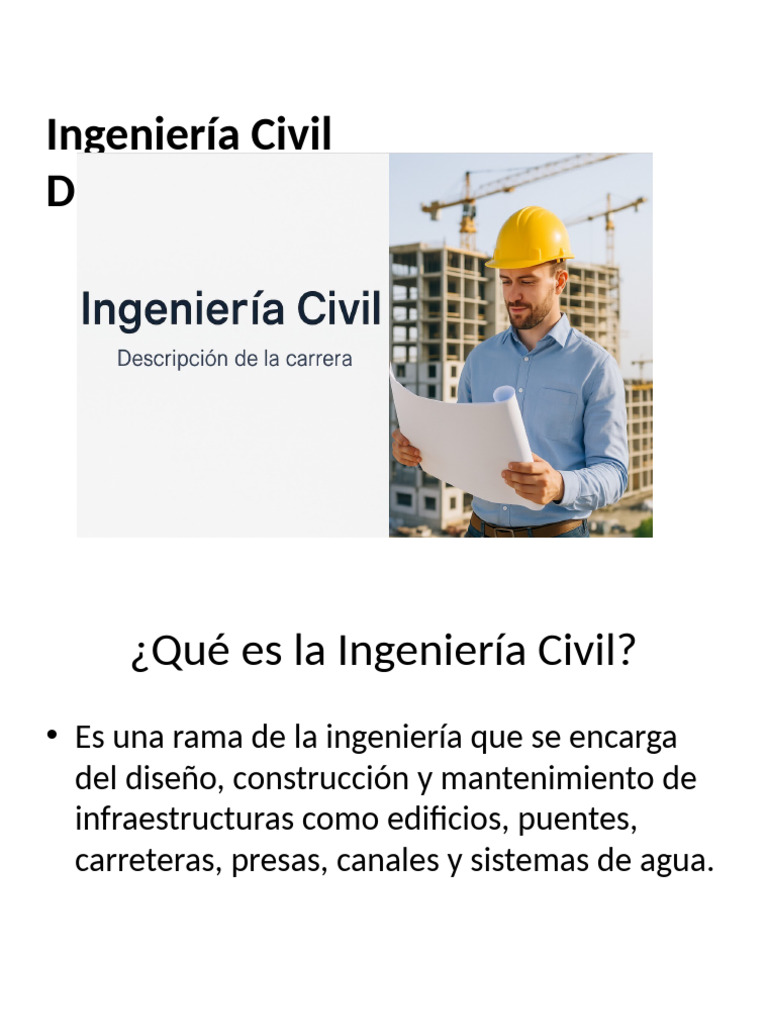 Ingeniería Civil: Ramas y Perfil Profesional | PDF