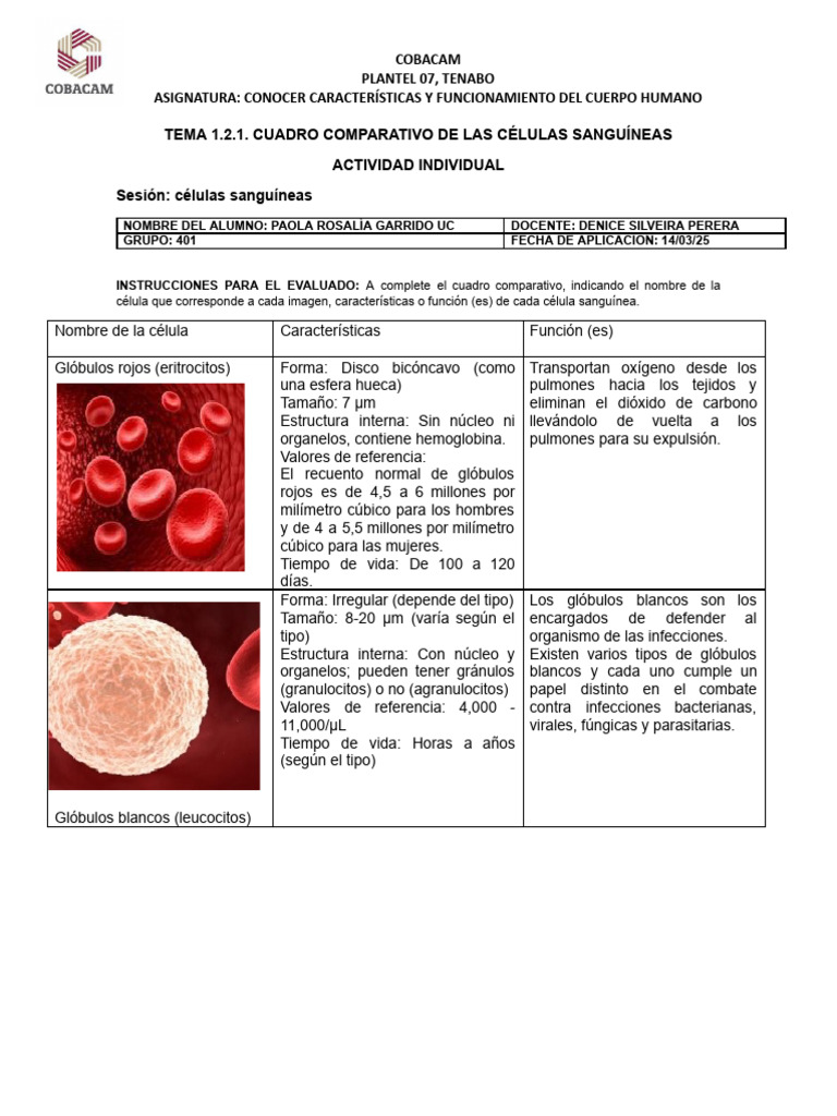 Celulas Sanguineas | PDF | Leucocito | Sistema inmune