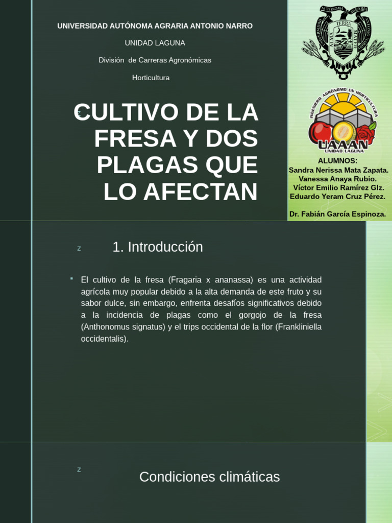 Cultivo de La Fresa Entomologia2 2 | PDF | fresa | Plaga (organismo)