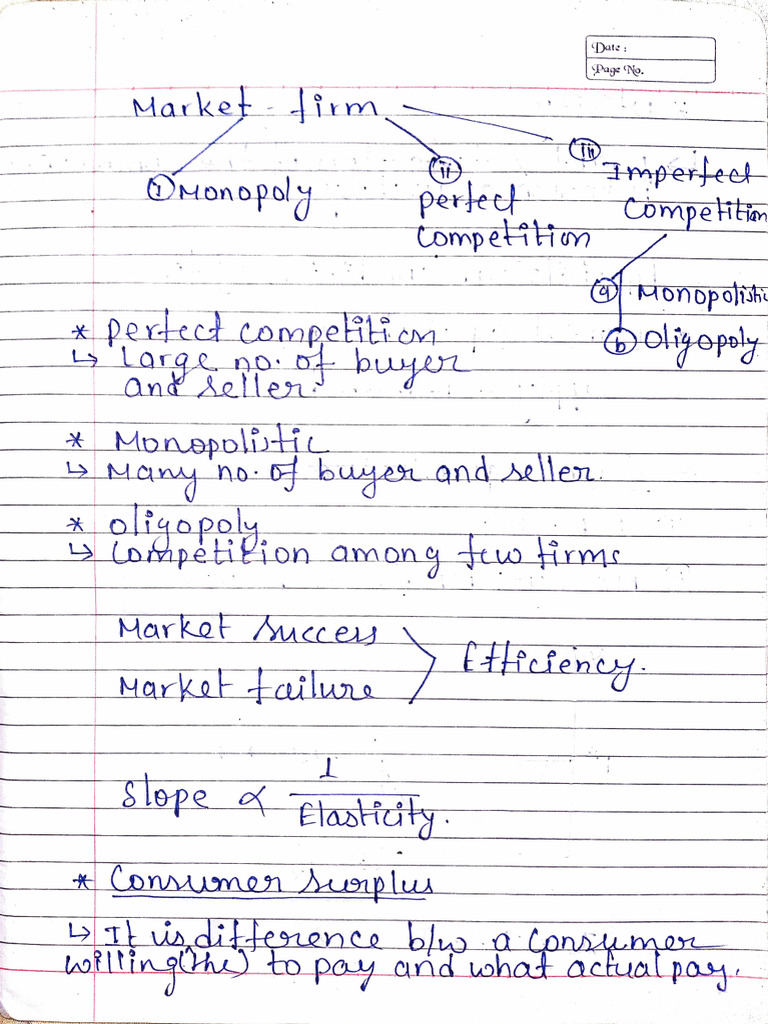 Perfect Competition | PDF