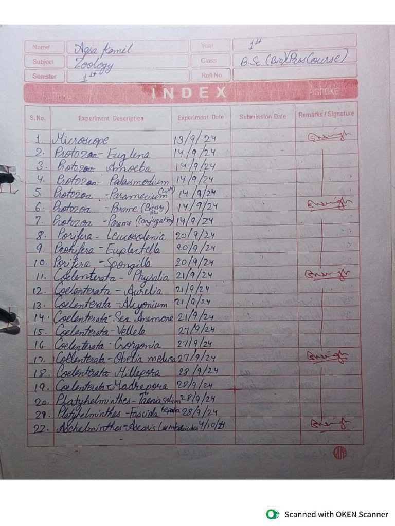 Zoology Practical File | PDF