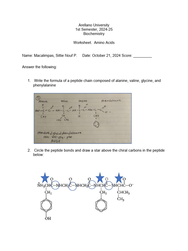 Worksheet 14. Amino Acids | PDF
