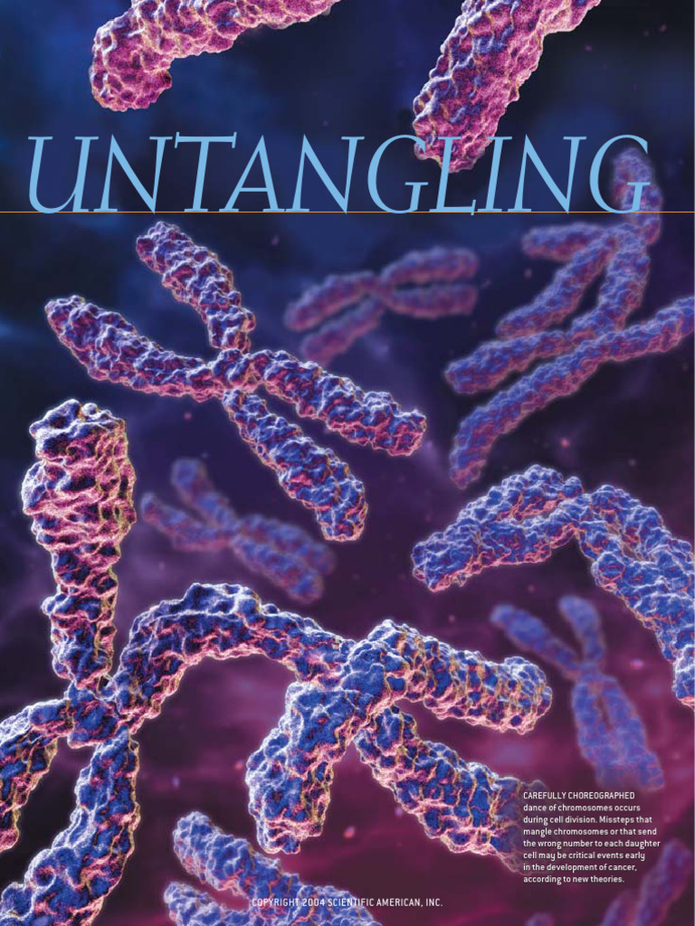 Untangling The Roots of Cancer (14, 60-69 (June 2004) ) | PDF | Cancer ...