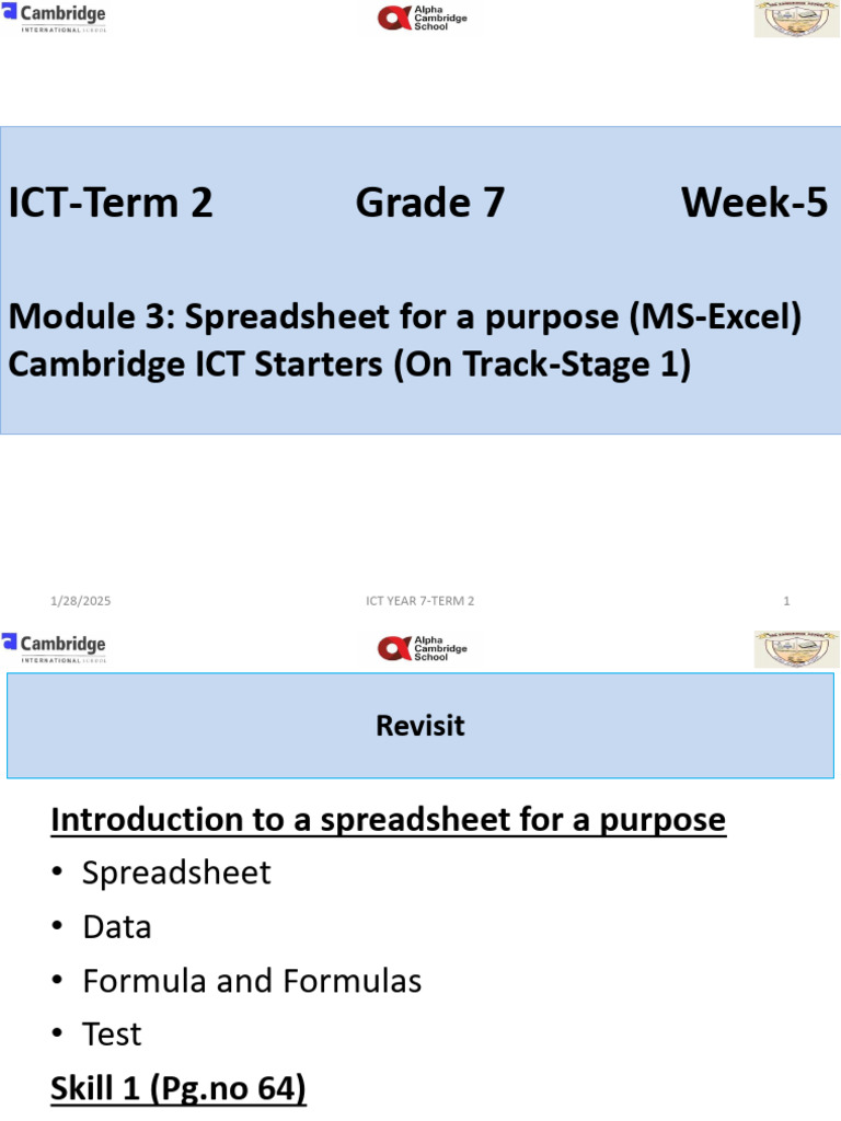Excel Skills for Grade 7 ICT | PDF | Spreadsheet | Microsoft Excel