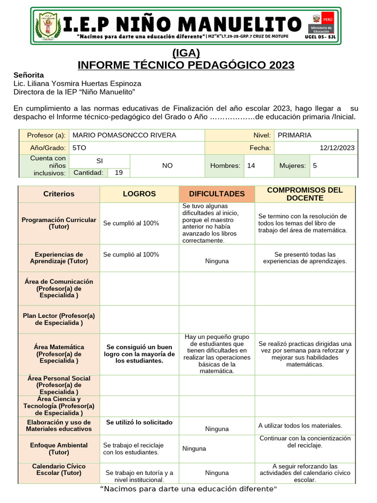 04 - Informe Tecnico Pedagogico Anual | PDF | Maestros | Educación primaria