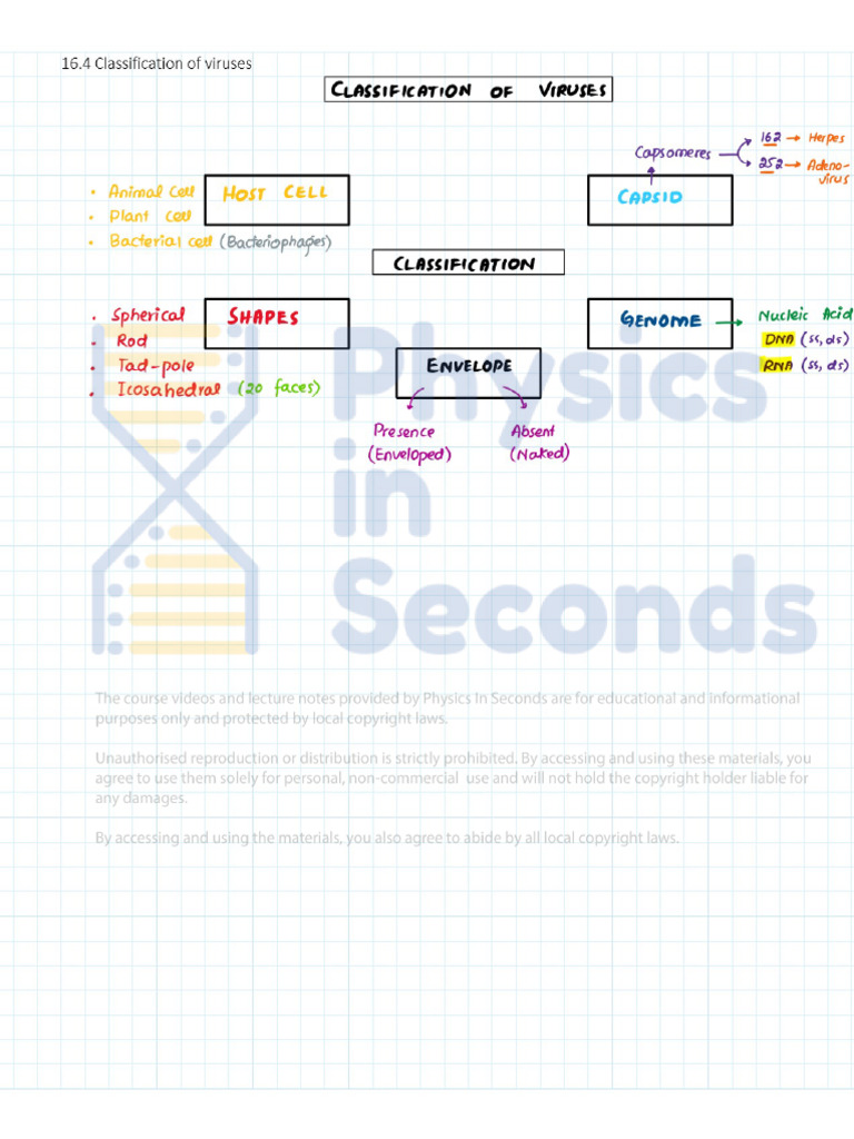 13.4 - Classification of Viruses Handout Notes | PDF