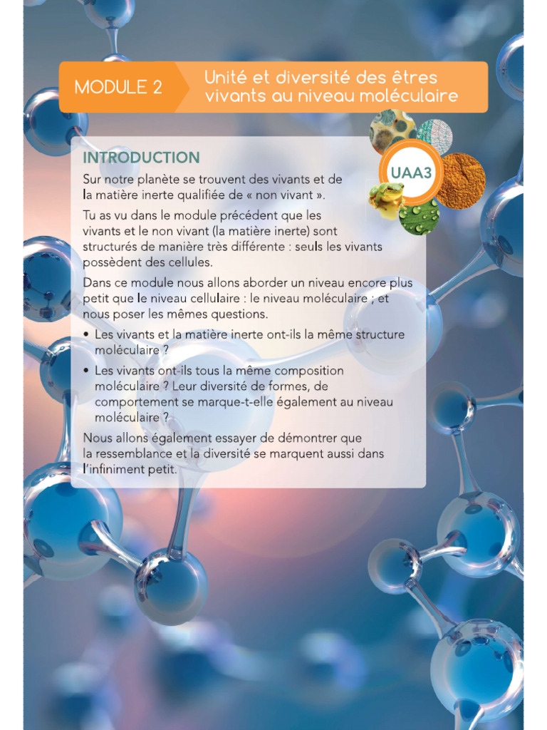 4sg Experts Biologie Module2 | PDF