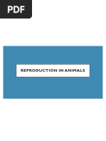 Class VIII (Reproduction in Animals) | PDF | Fertilisation | Reproduction