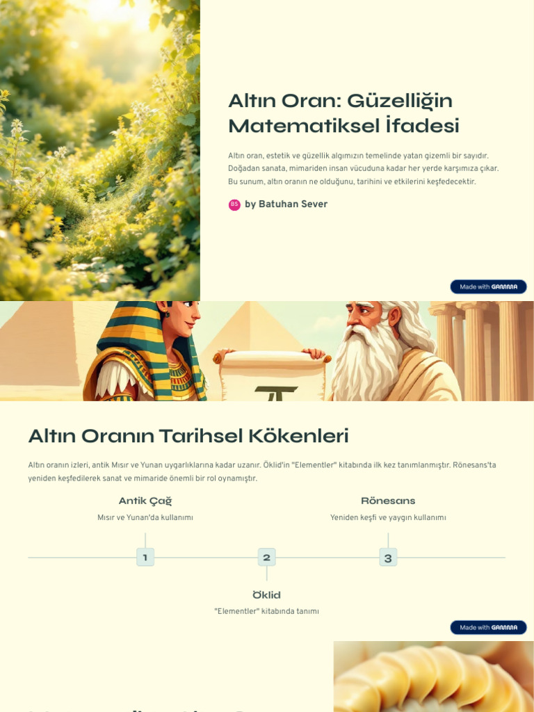 Altin Oran Guzelligin Matematiksel Ifadesi | PDF