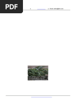 Safeda Tree: Eucalyptus Overview | PDF