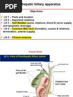 Portocaval Anastomosis Overview | PDF | Gallbladder | Vein