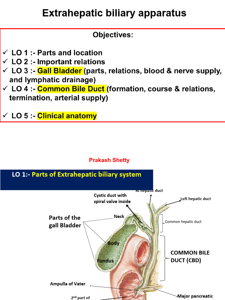 Extrahepatic Biliary Apparatus Batch 55 PPT 20250418 082853 0000 | PDF ...