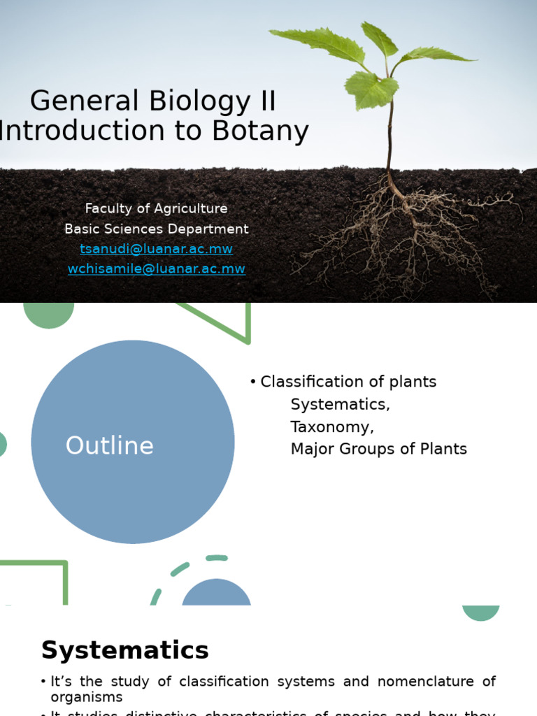 Bio 31201 Classification of Plants-1 | PDF | Fertilisation | Sexual Reproduction