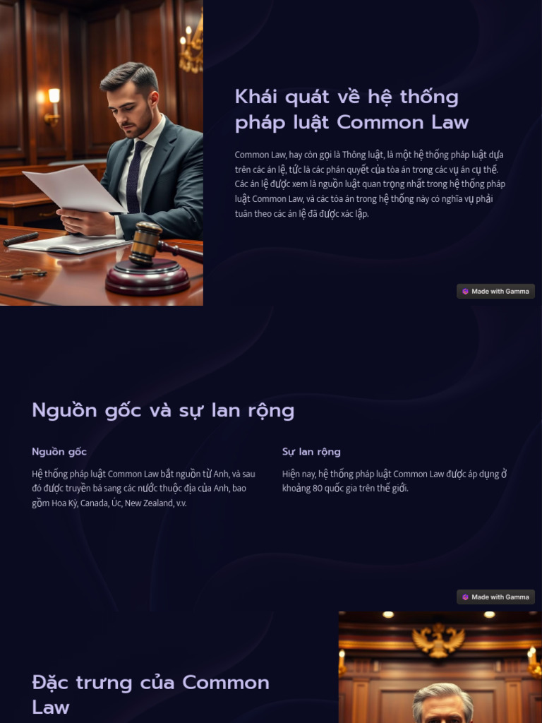 Khai Quat Ve He Thong Phap Luat Common Law | PDF