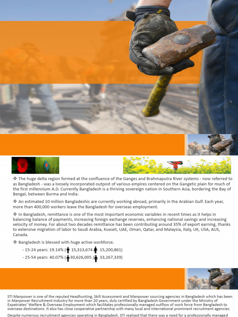 STI Manpower Profile | PDF | Human Resources | Bangladesh