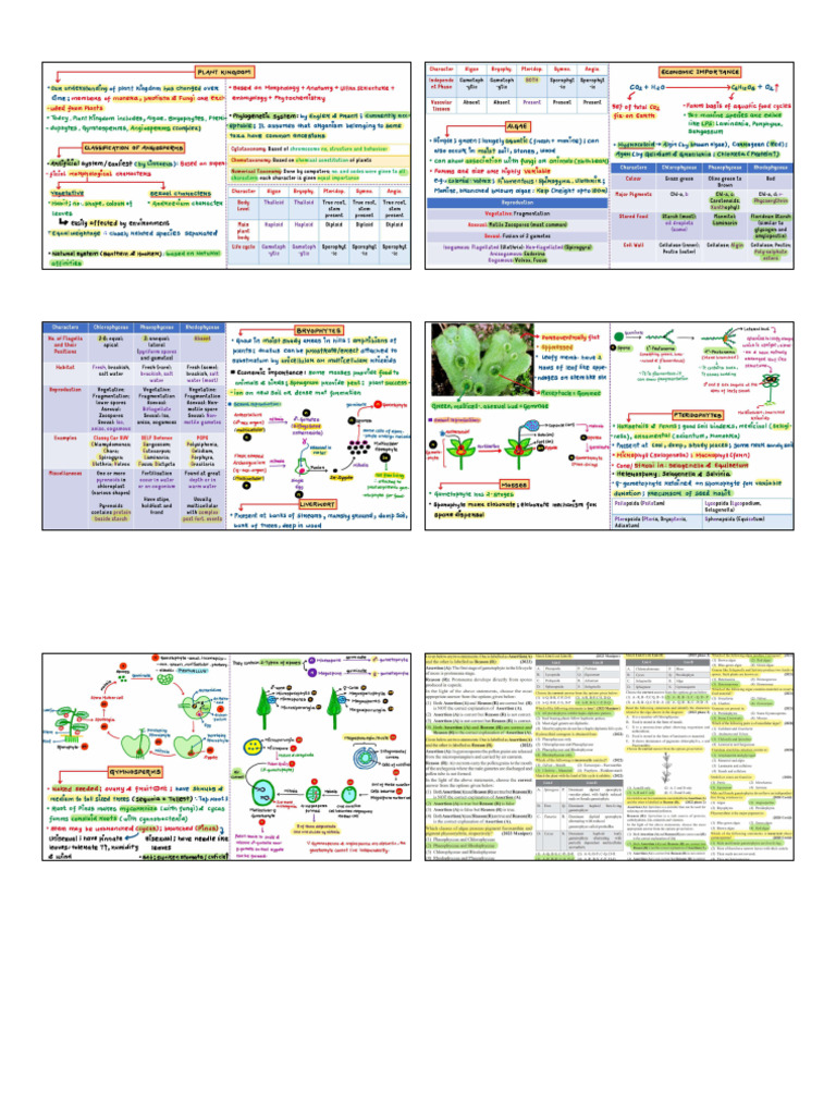 PLANT KINGDOM - Class Notes - NEET REVISION EXPRESS-pages-deleted | PDF