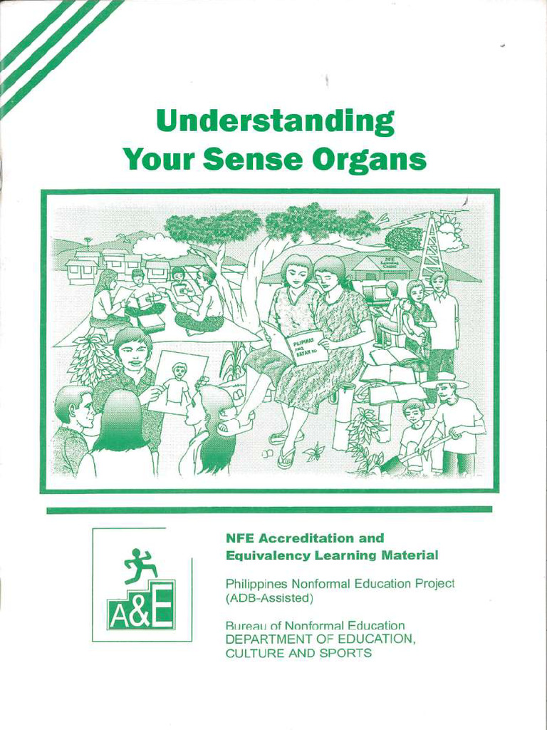 Understanding Your Sense Organs | PDF | Ear | Human Nose
