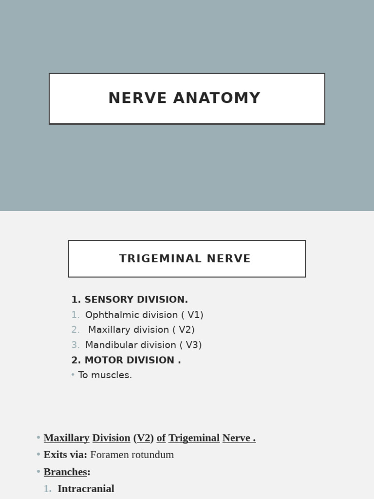 Maxillary Nerve Supply and Anesthesia Techniques | PDF | Tooth | Human ...