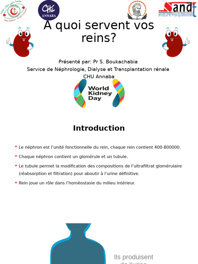 À quoi servent vos reins_1de52f47-ed7e-4cc5-b3b2-11d09026f915 | PDF ...
