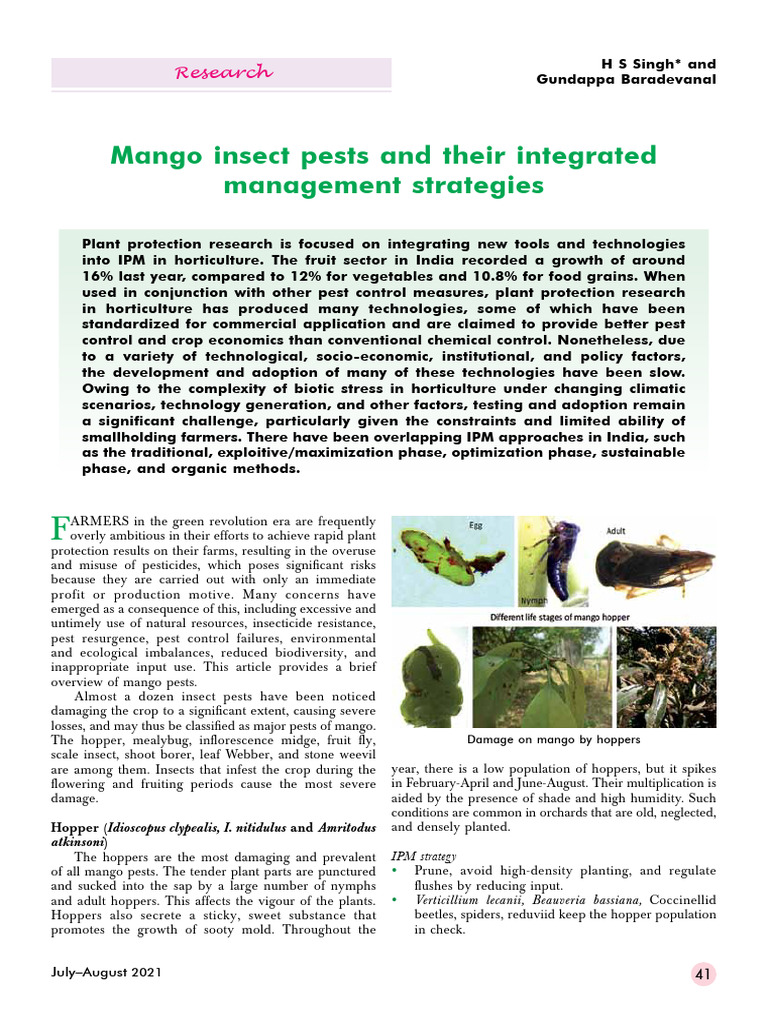 Mango Pest Management Strategies | PDF | Pest (Organism)