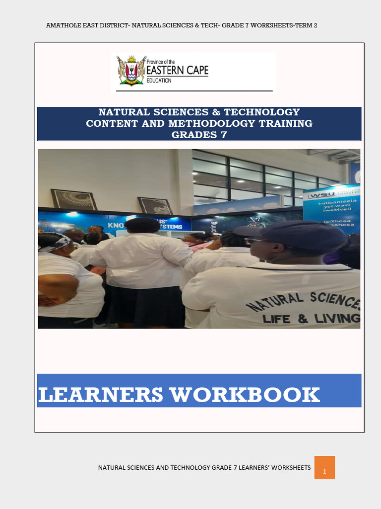 GRADE 7 NS TERM 2 - Learners Workbook | PDF | Chemical Elements | Taste