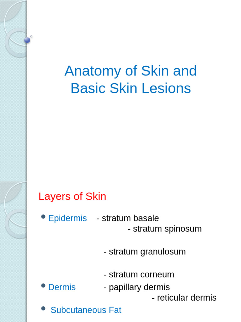 Anatomy of Skin and p | PDF | Skin | Epidermis