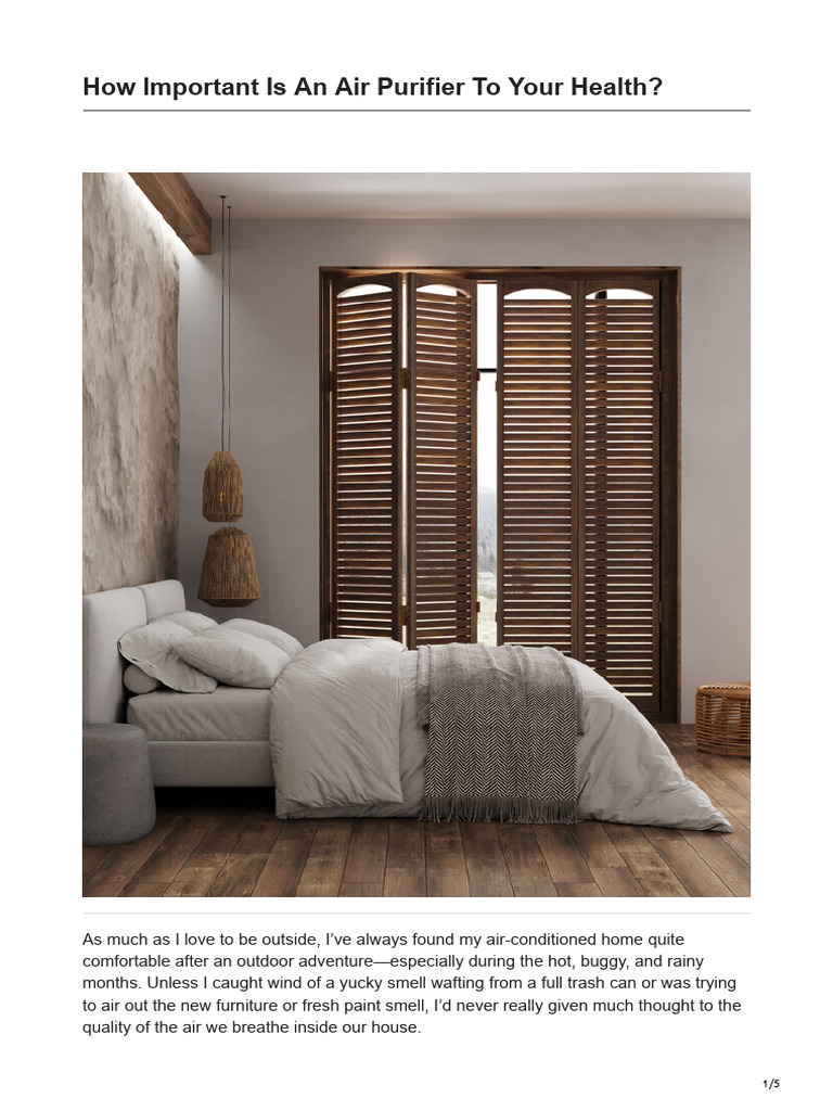 How Important Is An Air Purifier To Your Health | PDF | Particulates ...