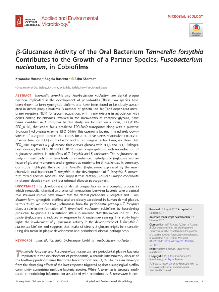 honma et al 2017 β glucanase activity of the oral bacterium tannerella ...