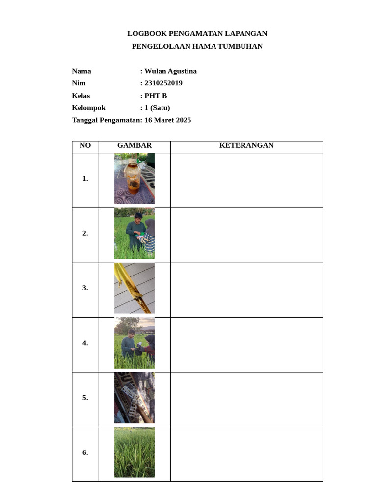 Template Logbook PHT 2 | PDF