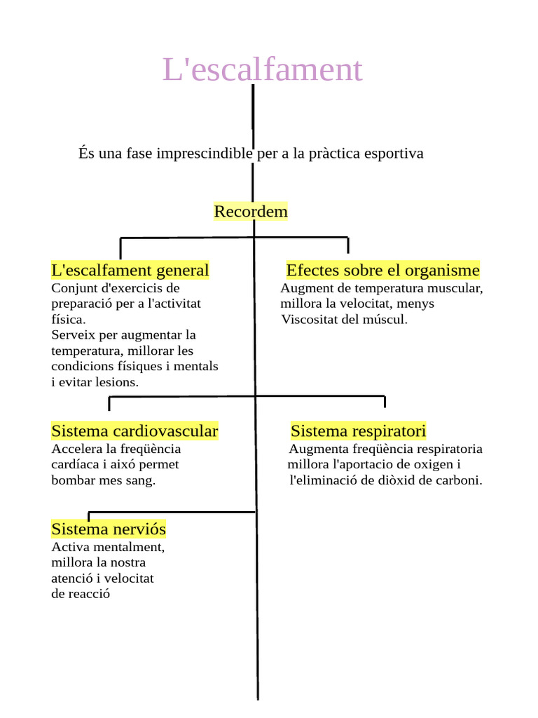 Mapa Conc. Marta | PDF
