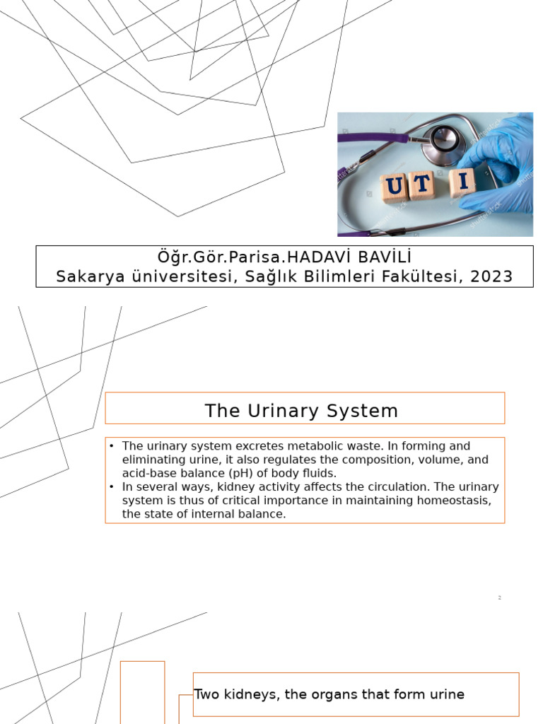 Medical Terminology 7 | PDF | Urinary System | Kidney